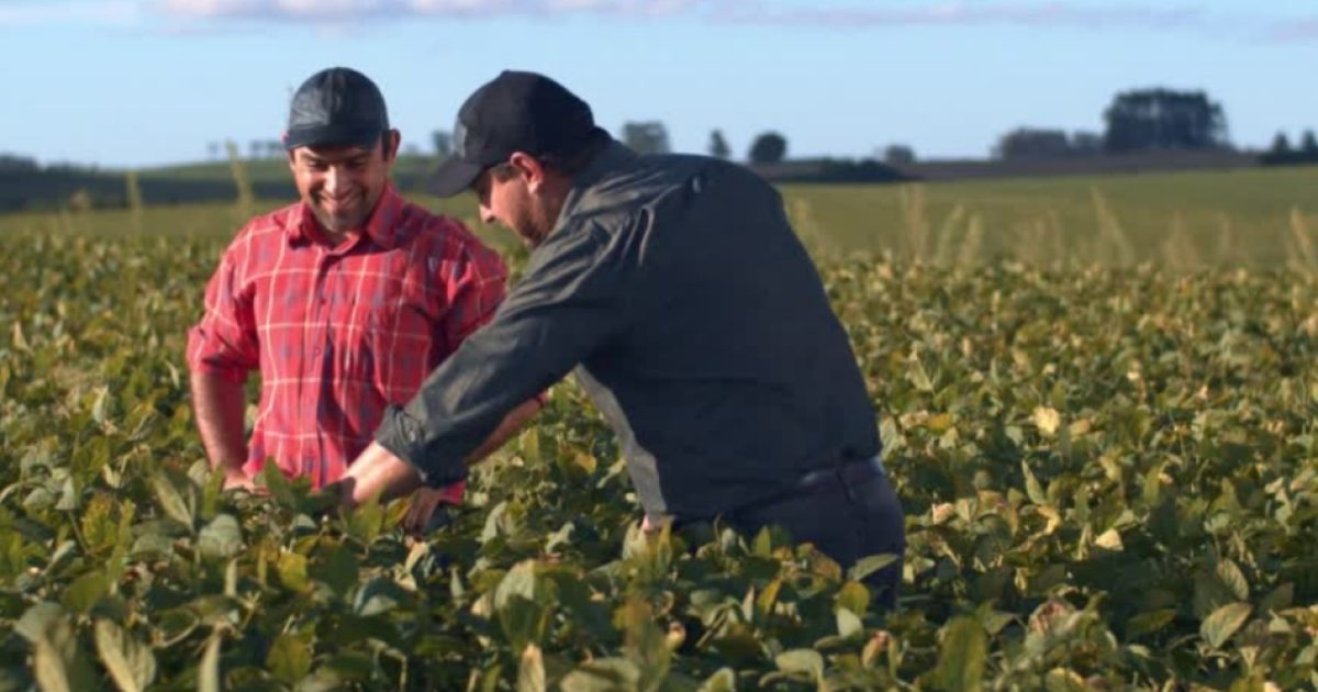 Correct Soil pH To Get The Most Out Of Your Fields | Kilwaughter Lime