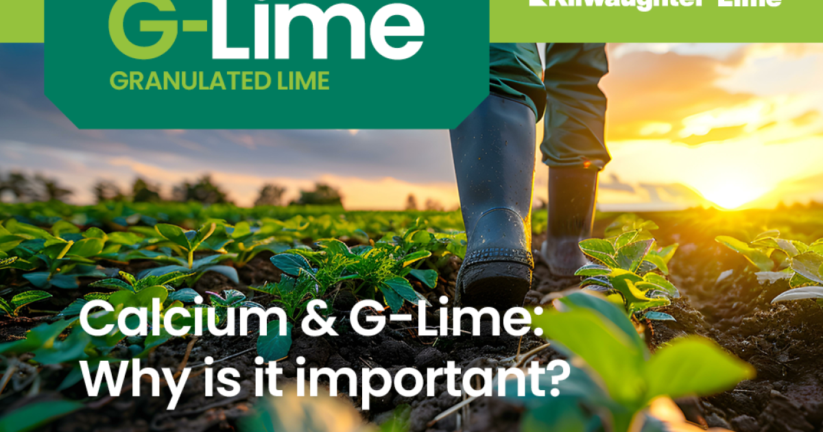 Calcium & G-Lime – Why is it Important | Kilwaughter Lime