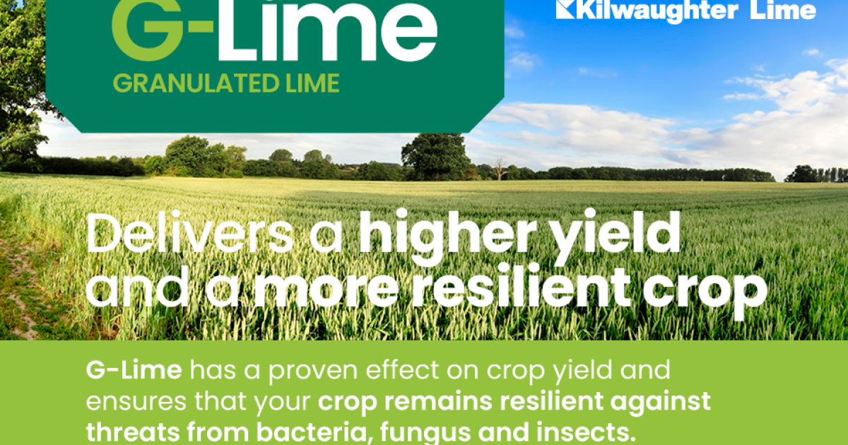 Be Wise: Lime First | Kilwaughter Lime
