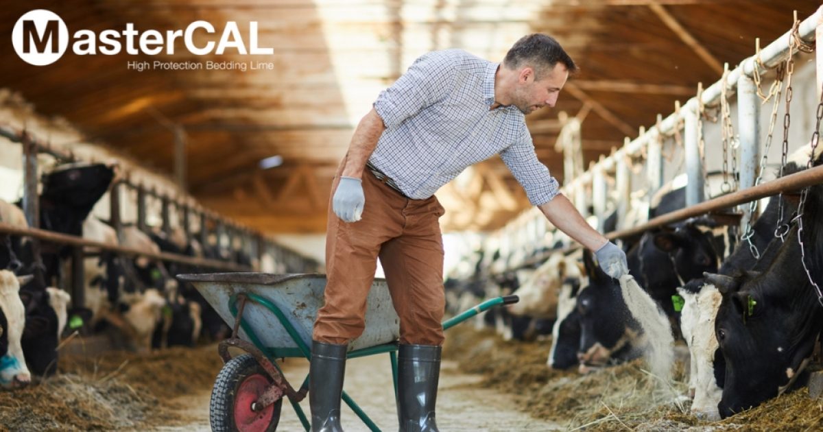 MasterCAL High Protection Bedding Lime Usage Aids… | Kilwaughter Lime