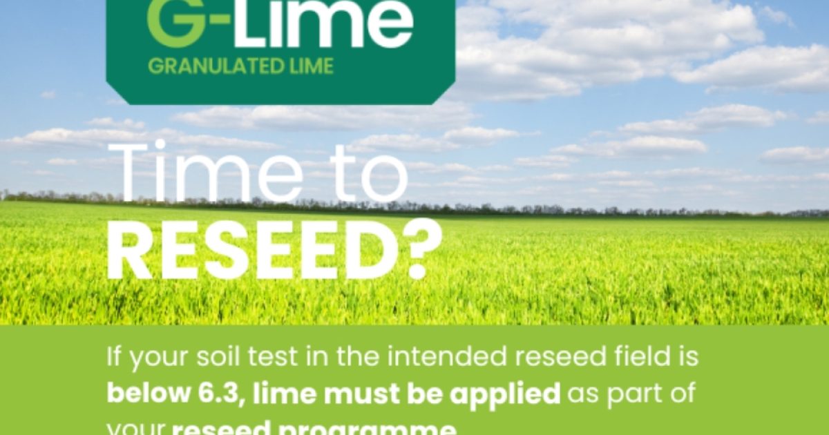 Time to Reseed? | Kilwaughter Lime